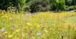 English intermediate B1/B2>B2 - Language centre